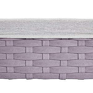 5 Piece Set Woven Nesting Storage Baskets, Decorative Wicker Bins for Organizing, Lavender (3 Sizes)