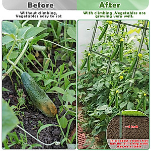 Tetutor Cucumber Trellis for Raised Bed 65"×48", Garden Arch Trellis for Climbing Plants Outdoor, Metal Garden Trellis for Vegetables, Cucumber Trellis for Tomato, Bean, Pea, Grape, Plant, Squash