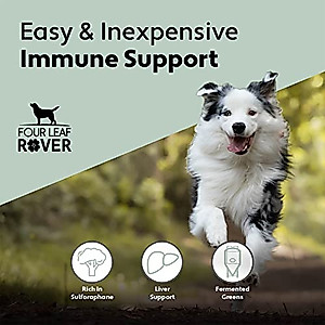 Four Leaf Rover Green Rover - Super Greens with Organic Broccoli Sprout and Spirulina Powder for Dogs - 15 to 120 Day Supply, Depending on Dog’s Weight - Liver Support - Vet Formulated