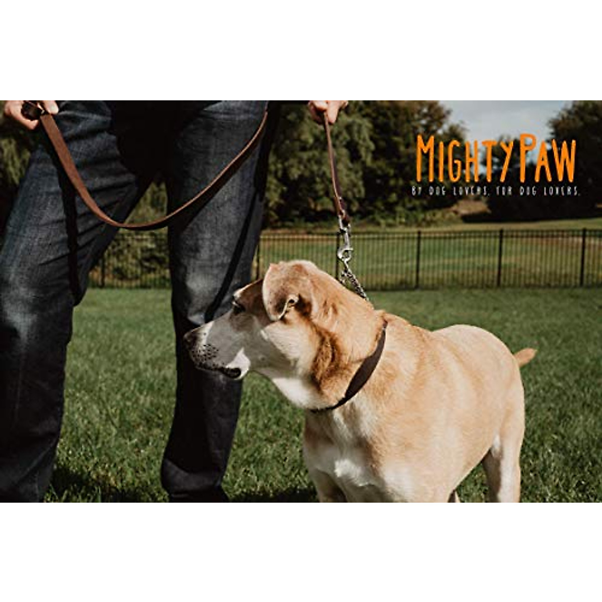 Mighty Paw Leather Martingale Dog Collar | Premium No Pull Dog Collar Martingale Collar for Dogs, Stainless Steel Chain, Limited Chain Cinch Training Collar. for Large, Medium and Small Dogs (Brown)