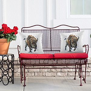 Swono Buffalo Set of 2 Decorative Throw Pillow Covers Cushion Case, Wild Animal Bison Buffalo Bull Farmhouse Pillowcase Cozy Pillow Cover for Couch Sofa Bed Garden Chair Car 18 X 18 Inch