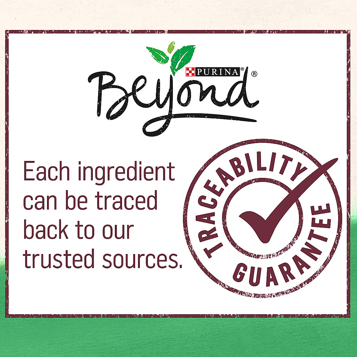 Purina Beyond Grain Free Canadian Duck and Sweet Potato Recipe Wet Cat Food Pate - (Pack of 12) 3 oz. Cans