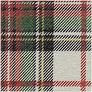 RUGGABLE Washable 5x7 Area Rug, Plaid, Premium Winter Rugs for Living Room, Bedroom, Kitchen, Office, Classroom with Gripper Non Slip Pad, Dress Stewart Tartan White