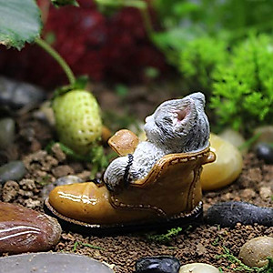 Danmu 1Pc of Polyresin Small Sleeping Kitten Miniature Figurines, Fairy Garden Accessories, Fairy Garden Supplies, Fairy Garden Animals for Fairy Garden, Bonsai Craft Decor 1 4/5" x 1 1/10" x 1 3/5"