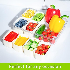 2 Pack Veggie Tray with Lid and Handle, Divided Fruit Tray, Portable Snackle Box, Fridge Organizer for Snack, Candy, Nuts, Cookies, Fruit, Clear Vegetable Tray for Party, Picnic, Travel, Wedding.