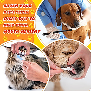 Yinder 12 Pcs Cat Toothbrush Small Dog Toothbrush Mini Head Soft Bristles Dog Tooth Brush Gentle Pet Toothbrush Long Handle Tooth Brush for Puppy Cats Large and Small Dog Dental Care (2 Colors)