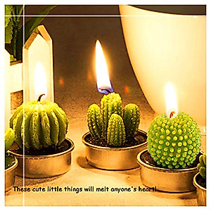 Swpeet 12Pcs Decorative Succulent Cactus Tealight Candles Kit, Cute Smokeless Succulent Plants Perfect for Candles Festival Wedding Props and House-Warming Party (N0.7-Candle)