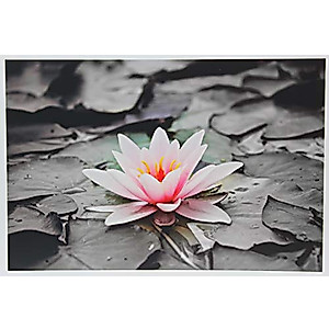 PPD 50 Sheets Inkjet Glossy Photo Paper - 11x17 inch Tabloid Size - 49lbs 180gsm 9.9mil - Instant Dry and Water Resistant (PPD-41-50)