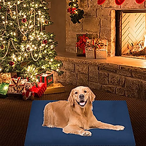 WITSJYA Pet Heating Pad, Upgraded 12 Adjustable Temperature Dog Cat Heating Pad with Timer, Indoor Warming Mat with Chew Resistant Cord (S:18" x 18", Blue)