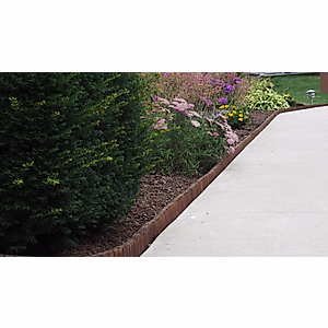 Flexible Brown Natural Lawn & Landscape Border Edging (8-Pack)