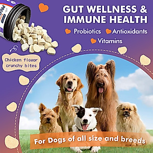 Probiotics for Dogs, Freeze-Dried Dog Probiotics and Digestive Enzymes, Plus Omega-3 for Itchy Skin, 3-in-1 Prebiotics for Digestive Health, Dog Vitamins and Supplements for Immune Health, 120 Bites