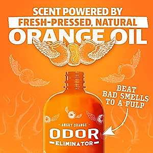 ANGRY ORANGE Pet Stain and Odor Remover - 2 Spray Pack - 32 oz Dog, Ferret, Rabbit & Cat Urine Enzyme Cleaner - 24 oz Pet Odor Eliminator for Strong Odor - for Pee on Carpet, Furniture, Tile, Wood