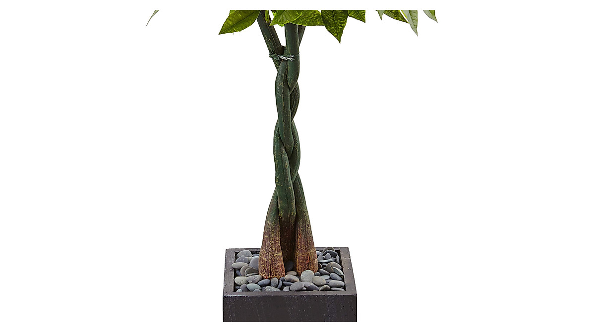 Buy Nearly Natural 5ft Money Tree for Any Room