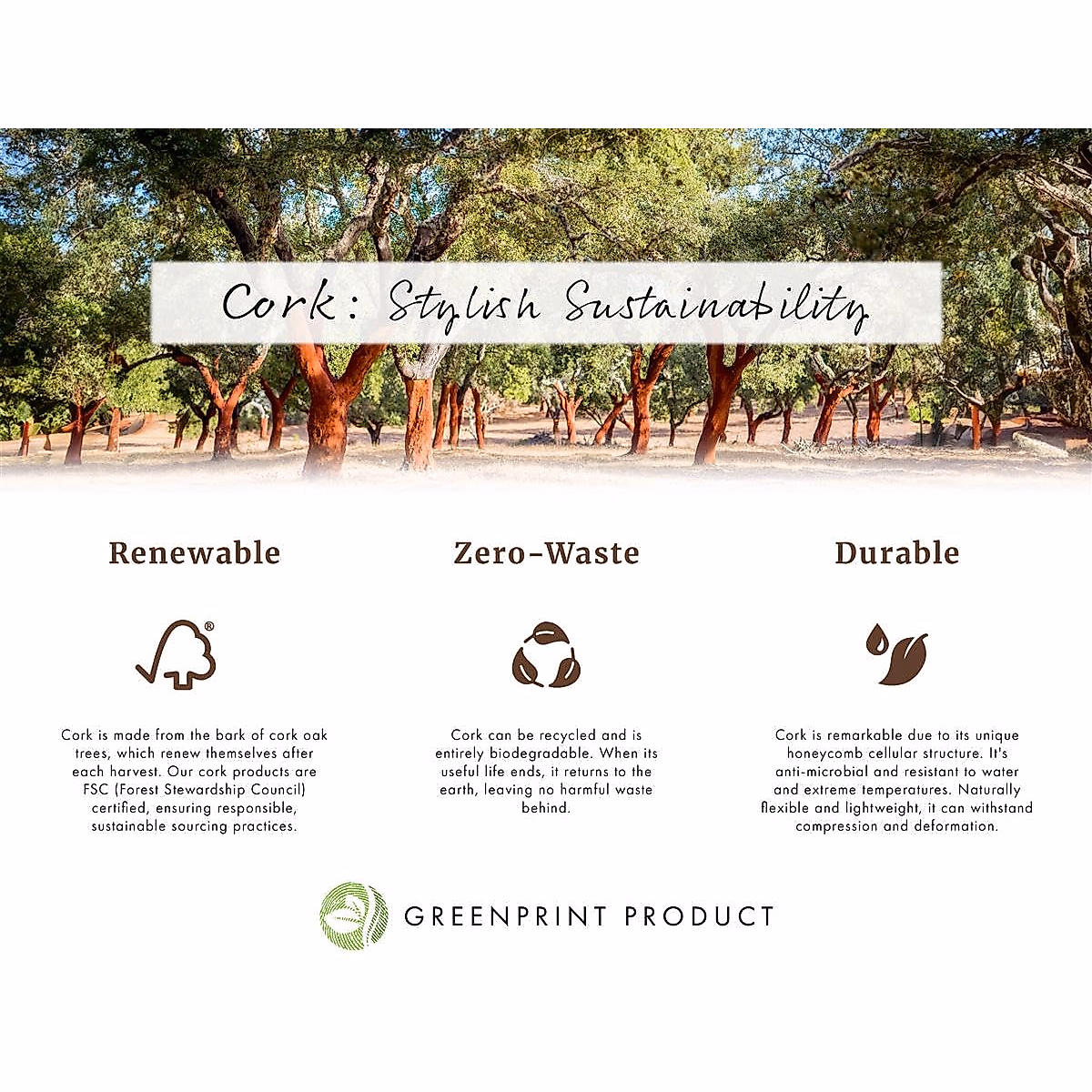 48" x 36" Enclosed Bulletin Board for Wall Mount, Indoor Use Only, 4' x 3' Cork Board with Sliding Glass Door - Silver Aluminum Frame