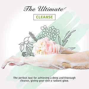 Spongentle Dual Texture Deep Cleansing Loofah Sponge for Radiant Skin, Pack of 4, Bath and Shower, Exfoliating Body Scrubber, Beautiful Colors for Women and Men