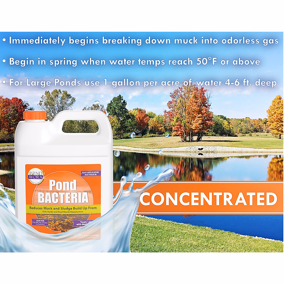 PondWorx Pond Bacteria and Water Clear- Formulated for Large Ponds, Water Features and Safe for Koi, Improves Water Quality- Gallon