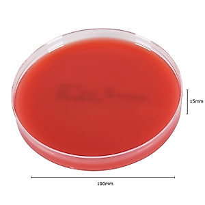 Blood Agar Plate, 5% Sheep Blood in Tryptic Soy Agar (TSA) Base, EH (Enhanced Hemolysis), 15x100mm Plate, Order by The Package of 10, by Hardy Diagnostics