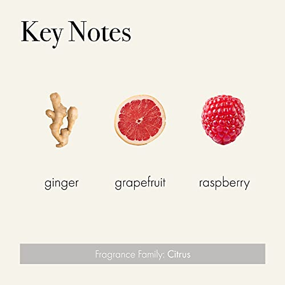 LAFCO New York 3-Wick Candle, Champagne - 30 oz - 120-Hour Burn Time - Reusable, Hand Blown Glass Vessel - Made in The USA