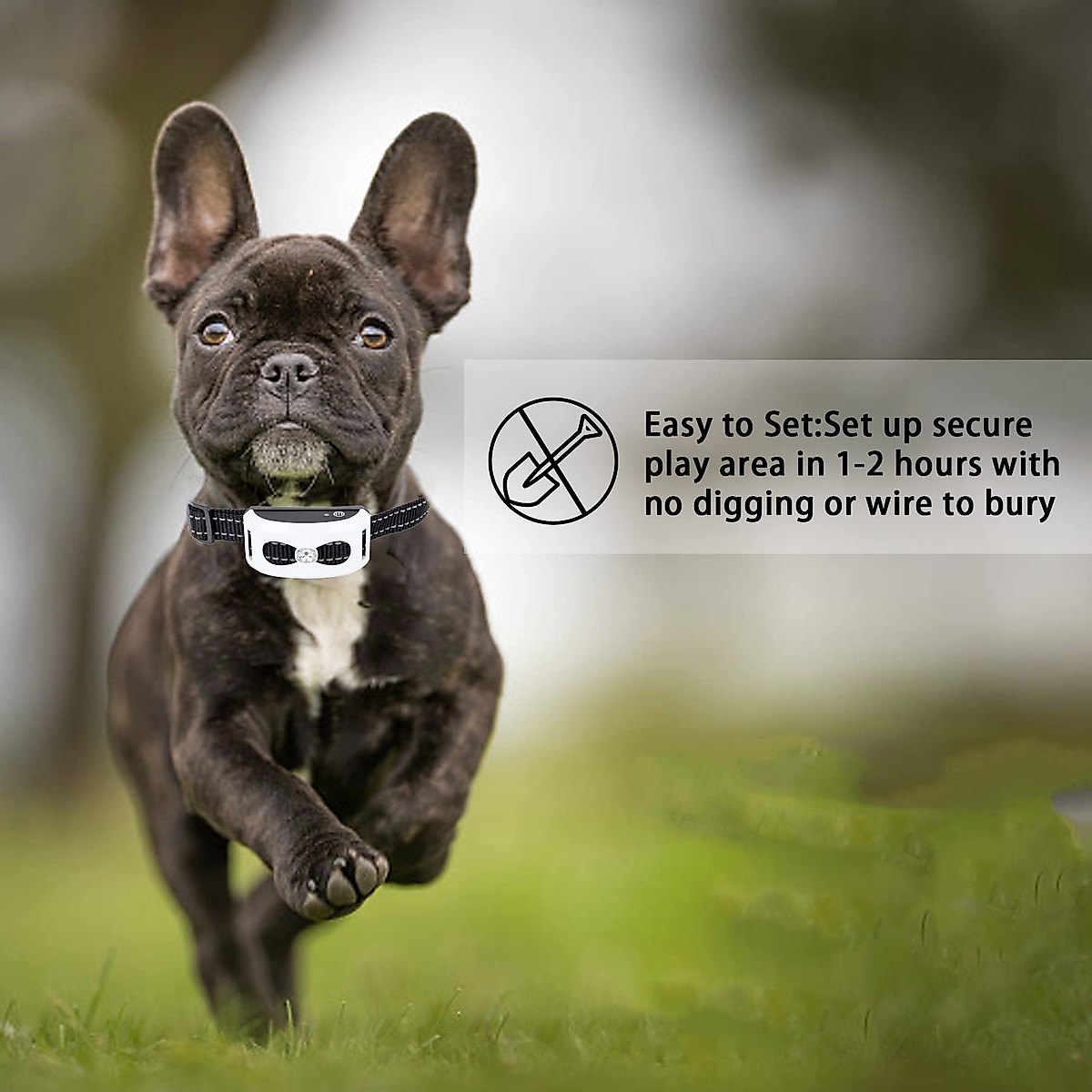 only warm Wireless Dog Fence Pet Containment System 2 in 1,Dog Trainging Collar for Dogs Over 6lb, Waterproof Adjustment Reflective Receiver 800 Feet/300 Meter Freedom Fence (Black)