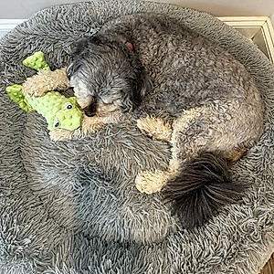 Ethical Pets 54093 Skinneeez Extreme Stuffing Free Dog Toy, 14", Frog, Green