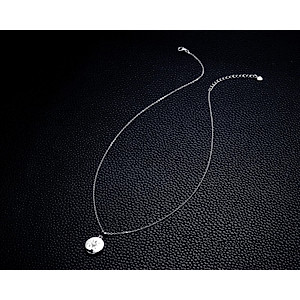 DYUNQ North Star Necklace Sterling Silver, Moissanite Lab Created Diamond Starburst Compass Disc Medallion Hypoallergenic Pendant for Women, 18 to 20 Inch, Graduation Jewelry Gifts