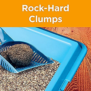 Arm & Hammer Clump & Seal AbsorbX Lightweight Quick Absorbing Scented Multi-Cat Clumping Cat Litter, 18 lb, Small