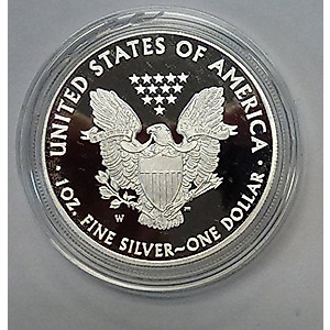 2013 W American 1 oz Silver Eagle Dollar US Mint PROOF