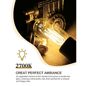 4 Pack LED Edison Bulbs, 4W Edison Light Bulbs, Antique LED Filament Bulbs 40W Equivalent, E26 Base, T45 LED Bulb with Clear Glass, Warm White 2700K, Non Dimmable, Great for Home, Bedroom, Office