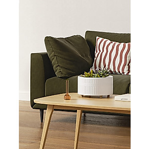 LE TAUCI Succulent Pots, 6.5+8 Inch Ceramic Indoor Plant Pot with Drainage Hole, Modern Round Decorative Flower Pot, Gifts for Mom, Set of 2, Matte White