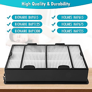 DerBlue 3PCS True HEPA Filter and 3PCS pre filter Replacement Filter B for Holmes HAPF600 HAPF8650 HAP615 HAP625 HAP650,Replacement Holmes Air Filter,Part # HAPF600, HAPF600D, HAPF600D-U2