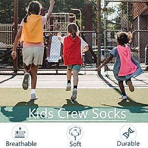 Mini angel Boys Girls Crew Socks Seamless Cotton Socks Kids School Socks Dress Socks for 8-10 Years, 6 Pairs (White, L)