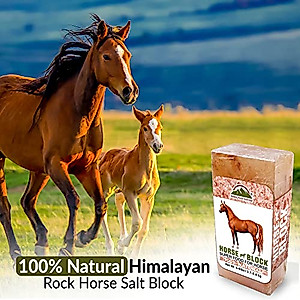 Himalayan Nature Horse Licking Salt, Animal Licking Mineral Salt Brick - 5 Lbs