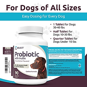 K9 Select Probiotic for Dogs, with Inulin - 90 Chewable Tablets - Supports Healthy Digestion and Nutrient Absorption - Dog Probiotics and Digestive Enzymes - Probiotics for Dogs Digestive Health
