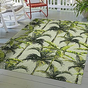 Dalyn Rugs Indoor/Outdoor Tropics TC10 Green Washable 8' x 10' Rug