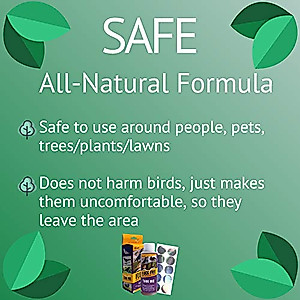 Flock Free Bird Repellent Spray, Residential Bird Problem Solution Bird Control, 4 oz Concentrate (1)