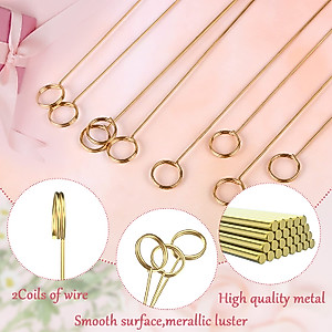 BENBO 20 Pieces Metal Wire Floral Place Card Holder Round Photo Memo Note Table Number Holder Pick Gold Floral Gift Card Holder Clips for Flower Arrangements,Wedding and Birthday Party, 13.4 Inch