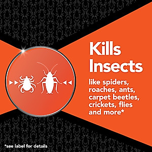 Raid Max Fogger, Insect Killer for Mosquito, Ant, Roach, Spider, Flea, for Indoor Use 6.3 Ounce (Pack of 1)