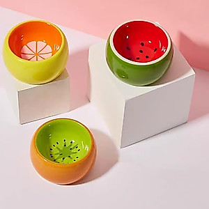 Bangminda 3Pcs Hamster Bowl Ceramic Small Animal Water Bowl Prevent Tipping Anti-Bite Ceramic Feeding Bowls for Guinea Pig Gerbil Ferret Syrian Hamster Chinchilla Rat Hedgehog Bunny