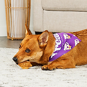 Treatly Collagen Crisps Assorted Chicken Flavor, 10oz/1 Pack