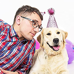 PET SHOW 10pcs Small Dog Birthday Hat Set for Boys Girls Medium Large Dogs Cat Kitten Puppies Party Hats with 0-9 Numbers 10 Glue Grooming Accessories