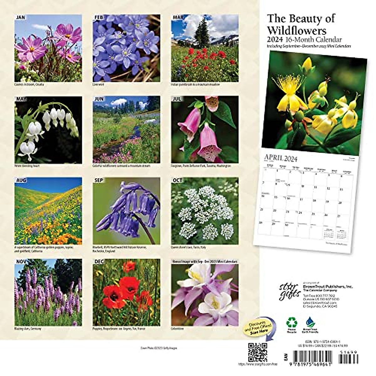 The Beauty of Wildflowers | 2024 12 x 24 Inch Monthly Square Wall Calendar | Sticker Sheet | StarGifts | Outdoor Plant Floral