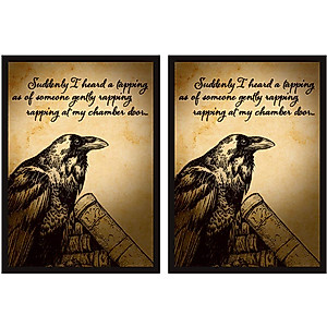 100 Legion Supplies Raven Deck Protector Sleeves