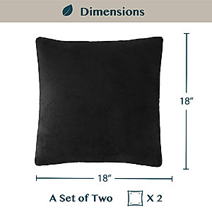 PAVILIA Black Throw Pillow Covers 18x18 Set of 2, Decorative Pillow Cases for Bed Sofa Couch, Boho Aesthetic Accent Decor Cushion for Bedroom Living Room, Velvet Square Euro Sham Covers, Solid Black