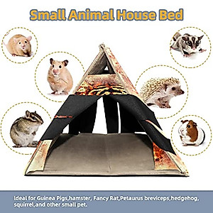RATGDN Small Pet Hideout Tiger Portrait Art Abstract Hamster House Guinea Pig Playhouse for Dwarf Rabbits Hedgehogs Chinchillas