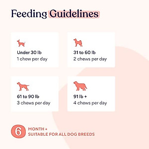 Pawfy Dog Hip & Joint Soft Chews - Total Joint Care | Anti-Inflammatory | Arthritis Relief | Strength & Flexibility | Natural Recovery | with Glucosamine + Chondroitin