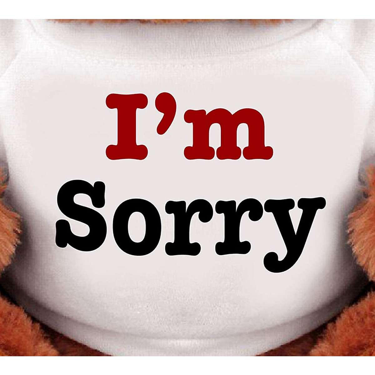 I Am Sorry Teddy Bear - Cute and Cuddly : Funny Teddy Bear Couple Gift : Romantic Medium Teddy Bear Stuffed Animal
