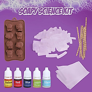 Darice Soap Making Kit for Kids, Crafts Activity Science Kits, STEM DIY Educational Animal Toys for Boys & Girls Ages 6+