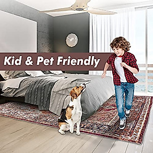 TEWWET Area Rug 5'x7', Non Slip Boho Rugs with Rubber Backing, Machine Washable Vintage Rugs for Living Bedroom Accent Area Carpet