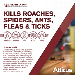 Talak 7.9% Indoor/Outdoor Insect Control - Bifenthrin Concentrate (32 Ounce) by Atticus