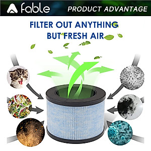 H13 Premium True HEPA Filter, DH-JH01 Upgrade HEPA Filter Replacement for Aroeve MK01 MK06, Pomoron and Kloudi DH-JH01, Intelabe EPI080/EP1080 & Elechomes EPI081/EP1081, 2 Pack